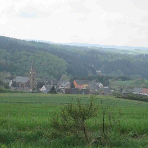 Reichenbach | Nationalpark-Verbandsgemeinde Baumholder