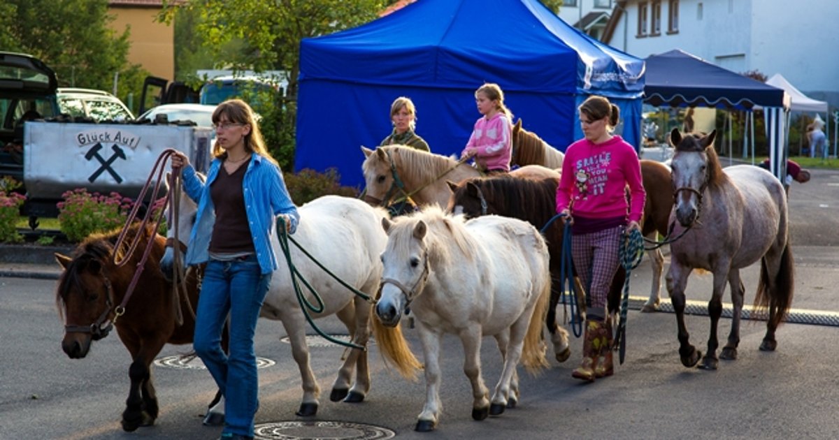 Überblick über das Rahmenprogramm am Bauernmarkt Berglangenbach ...